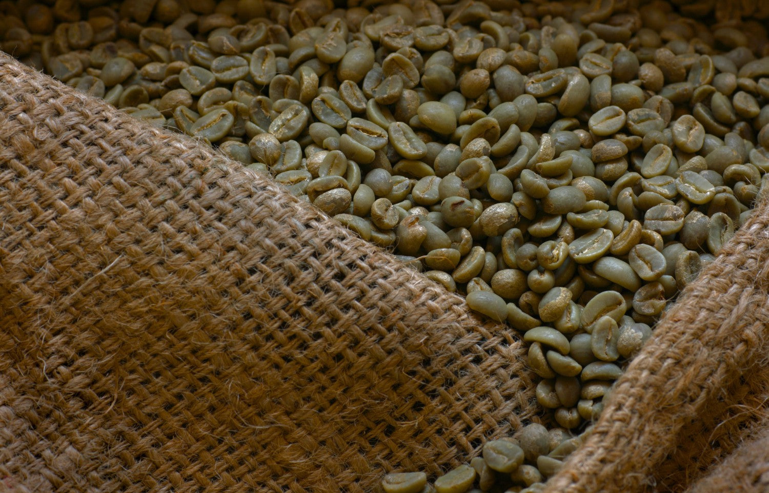 Origin Coffee Stories | Specialty coffees & Storytime